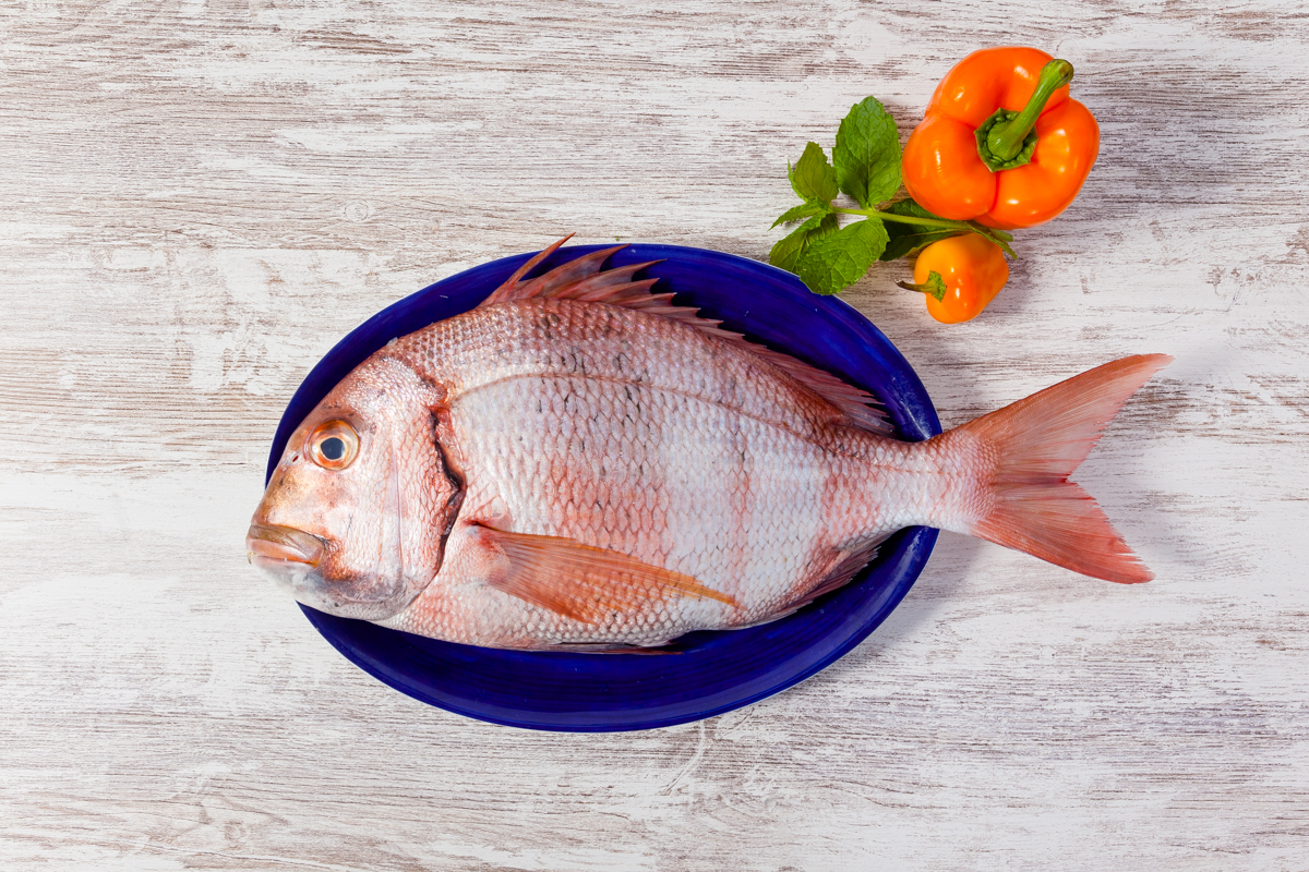 A Nossa Peixaria A Nossa Peixaria